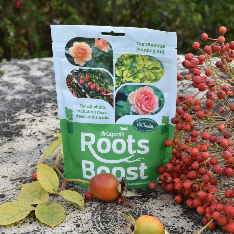 Roots Boost Mycorrhizal Fungi Granules - Dragonfli