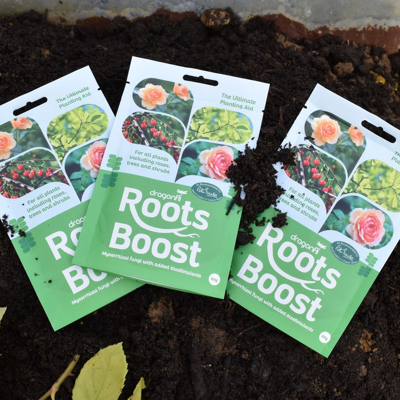 Roots Boost Mycorrhizal Fungi Granules - Dragonfli
