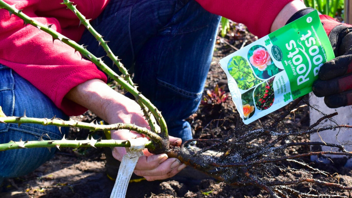 Biological Pest Control For Effective, Natural & Organic Gardening