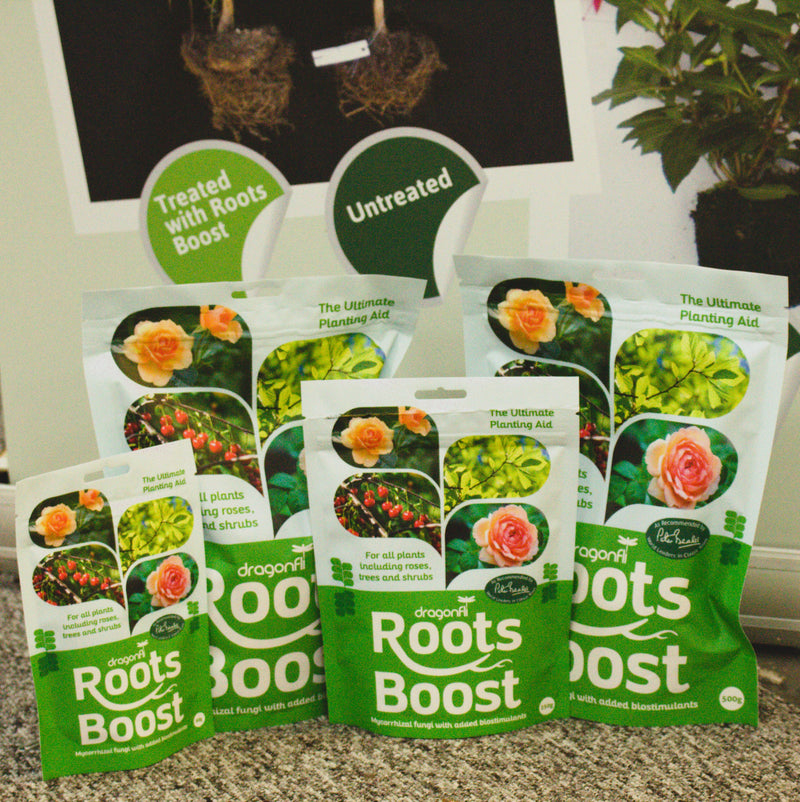 Roots Boost Mycorrhizal Fungi Granules - Dragonfli