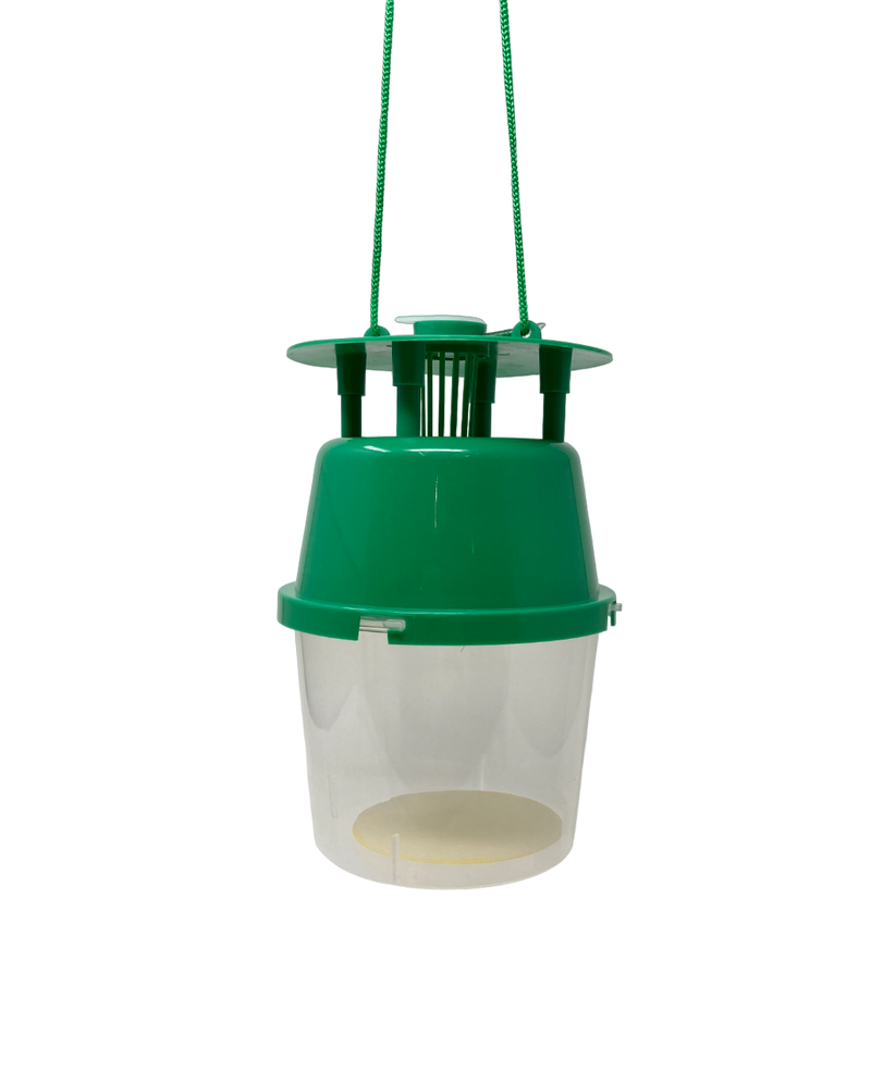 Box Tree Caterpillar Moth Pheromone Trap - £15.99 Includes 2 Lures ...