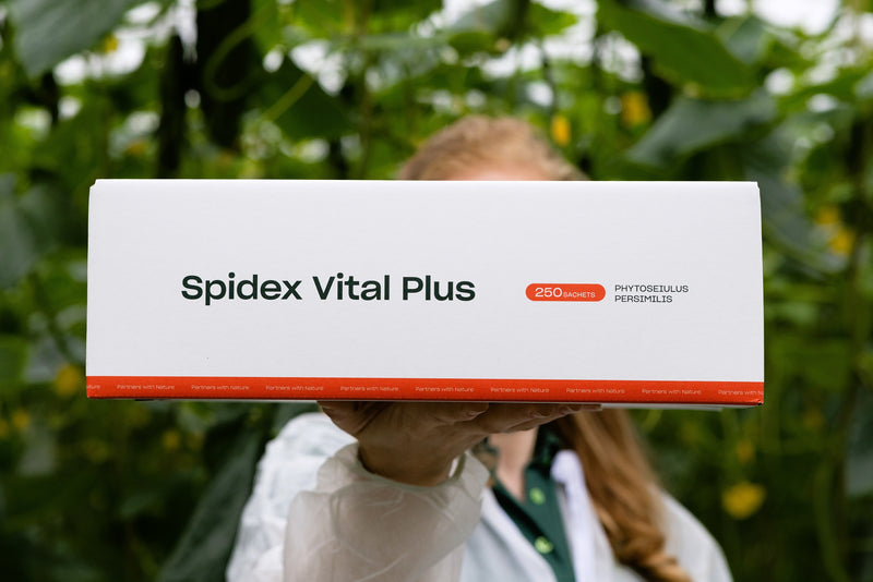 Spidex Vital Plus - Curative Spider Mite Control Sachets - Dragonfli