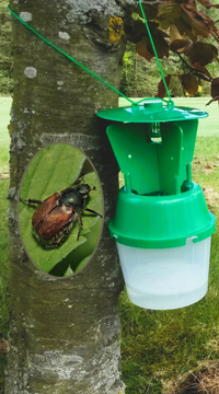 Biological Pest Control For Effective, Natural & Organic Gardening