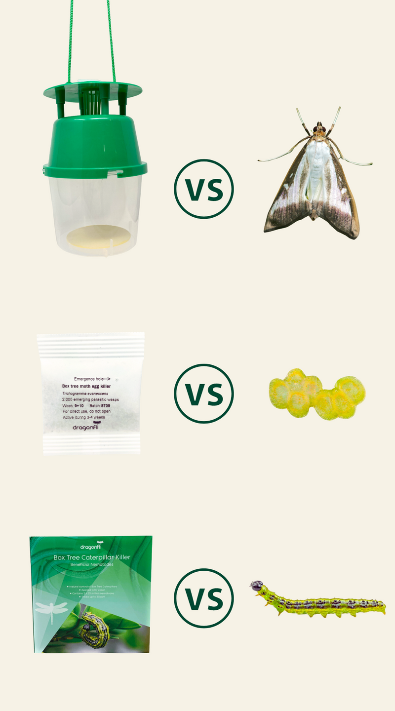 Biological Pest Control For Effective, Natural & Organic Gardening