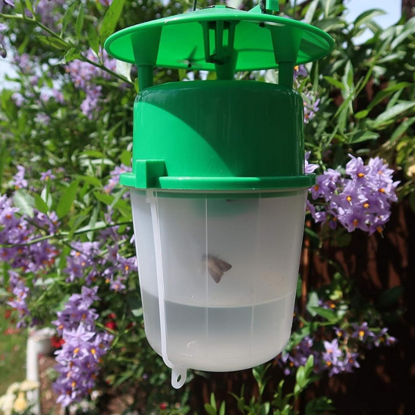 Codling Moth Pheromone Trap - Dragonfli