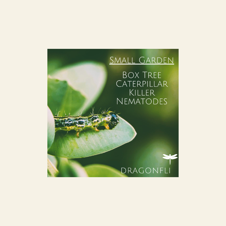 Nematodes - Dragonfli