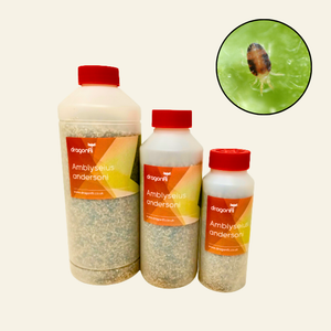 Spider Mite Predators Natural Infestation & Damage Control - Dragonfli