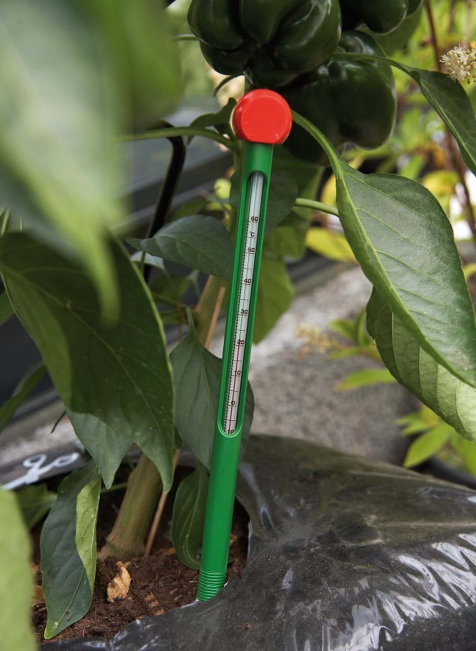 Dragonfli Soil Thermometer