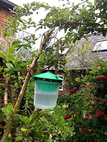 Codling Moth Pheromone Trap - Dragonfli