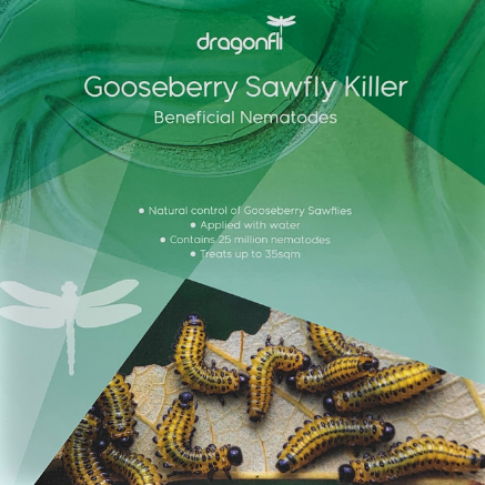 Gooseberry Sawfly Killer Nematodes - Dragonfli