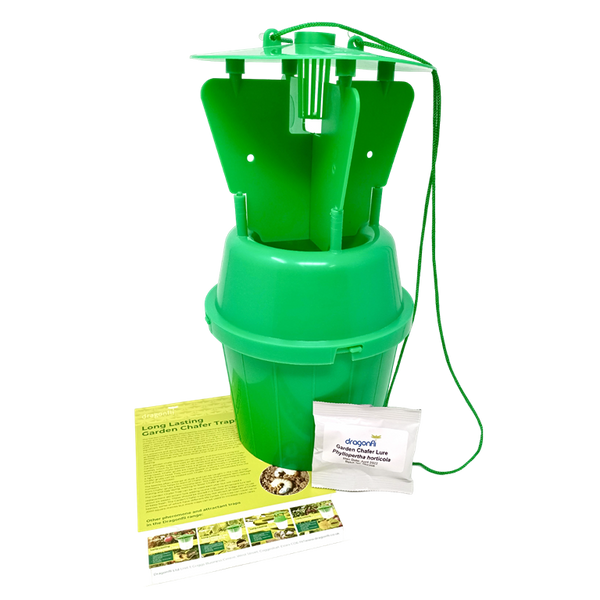 Garden Chafer Beetle Trap Including Attractant Lure - Dragonfli