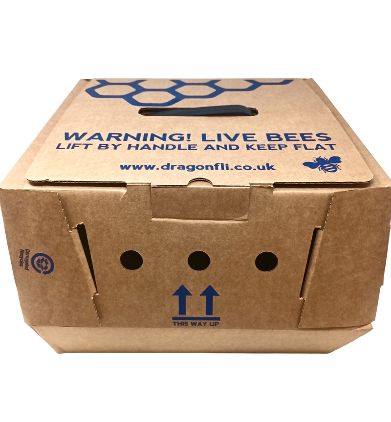 Live Bumblebees Colony Beepol Large Hive Gift Voucher - Dragonfli