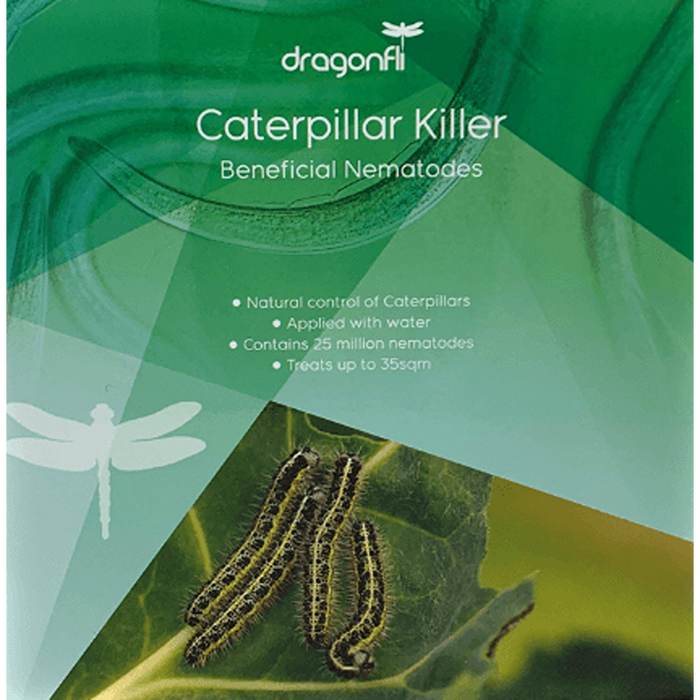 Nematodes - Dragonfli